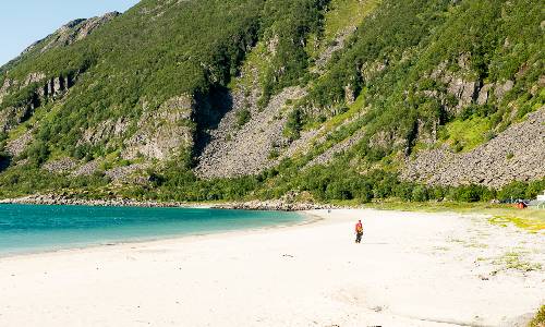 Villages and Beaches in Senja - Senja Experience