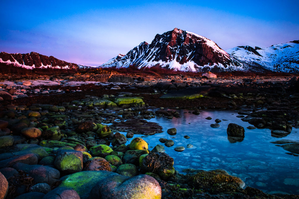Home - Senja Experience
